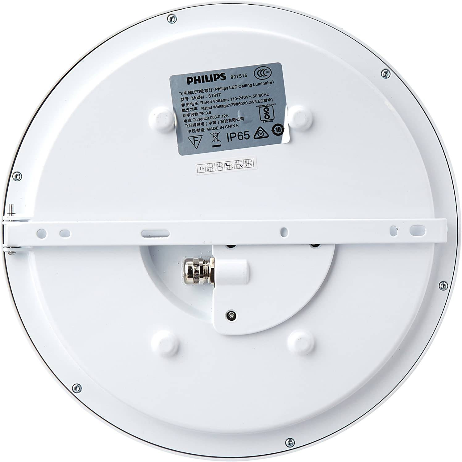 Philips 31817 LED IP65 Ceiling Light